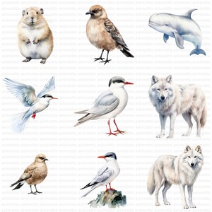 Watercolor Winter Animals Clipart Bundle, Tundra Animals Clipart Set ...