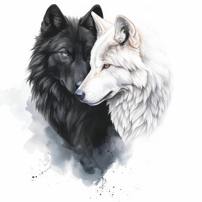 12 Wolf Duo Clipart Bundle, Black and White Wolves Illustration ...