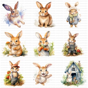 Watercolor Rabbits Clipart | Cute Bunny, Baby Rabbit, Cute Rabbit ...