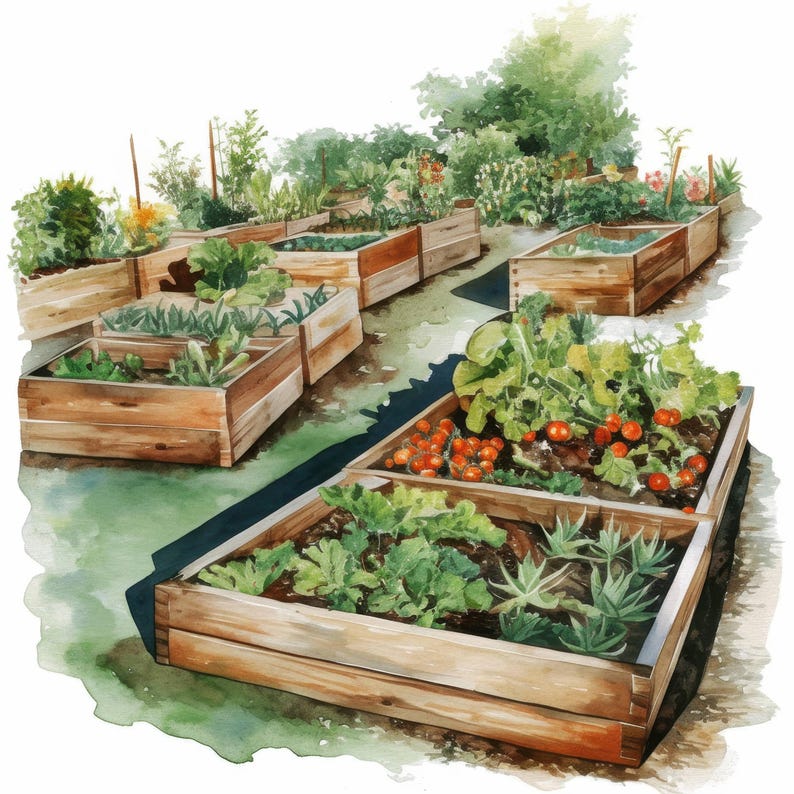 13 Vegetable Garden Clipart Bundle, Homegrown Greenery Graphics ...