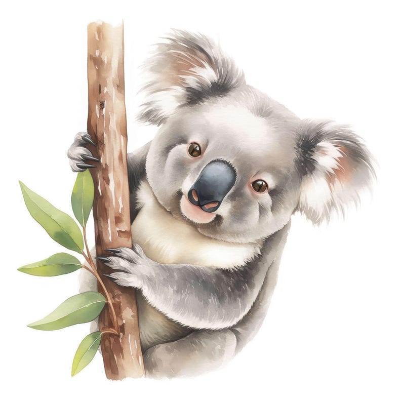 18 Baby Koala Clipart Set, Printable Watercolor Cute Koala Bear Clipart ...
