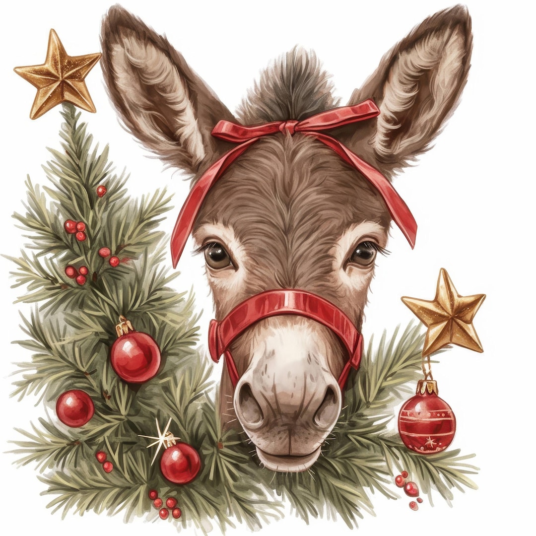 12 Christmas Donkey Clipart Bundle, Festive Donkey Illustrations ...
