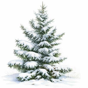 13 Winter Christmas Tree Clipart Bundle, Xmas Tree Illustrations ...