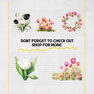 Watercolor Tulips Clipart Bundle, Spring Flower Clipart Set, Floral ...