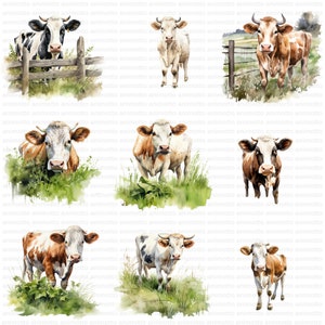 Watercolor Cows Images Clipart Bundle, Barn, Farm Animal, Milk Pail ...