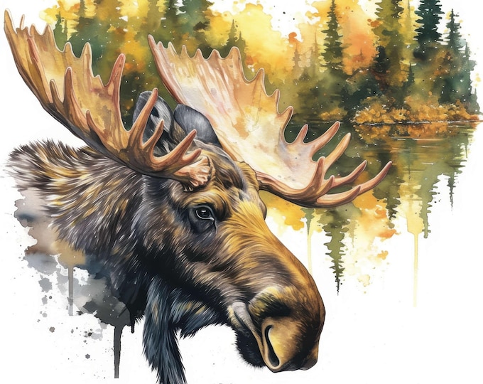 Watercolor Moose on Toilet Clipart: Funny Bathroom Art (JPG Download ...