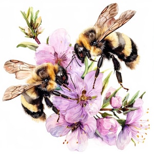 11 Bees With Flowers Clipart Bundle, Floral Bees, Printable Watercolor ...