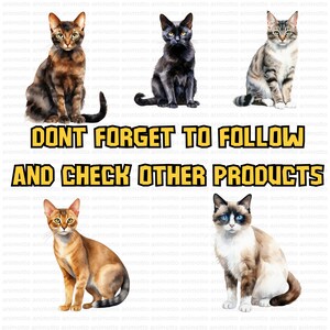 Watercolor Cat Breeds Clipart Bundle, Cute Cats Clipart Set, Kitten PNG ...