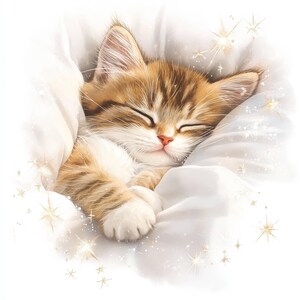 18 Sleeping Kitten Clipart, Cute Cat Clipart, Printable Watercolor ...