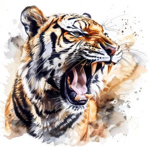 15 Ferocious Tiger Clipart Bundle, Printable Watercolor Animal ...