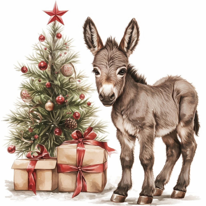 12 Festive Donkey Clipart Bundle, Christmas Donkey Illustration ...
