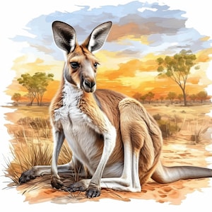 15 Australian Kangaroo Clipart Bundle, Kangaroo Prints Images ...