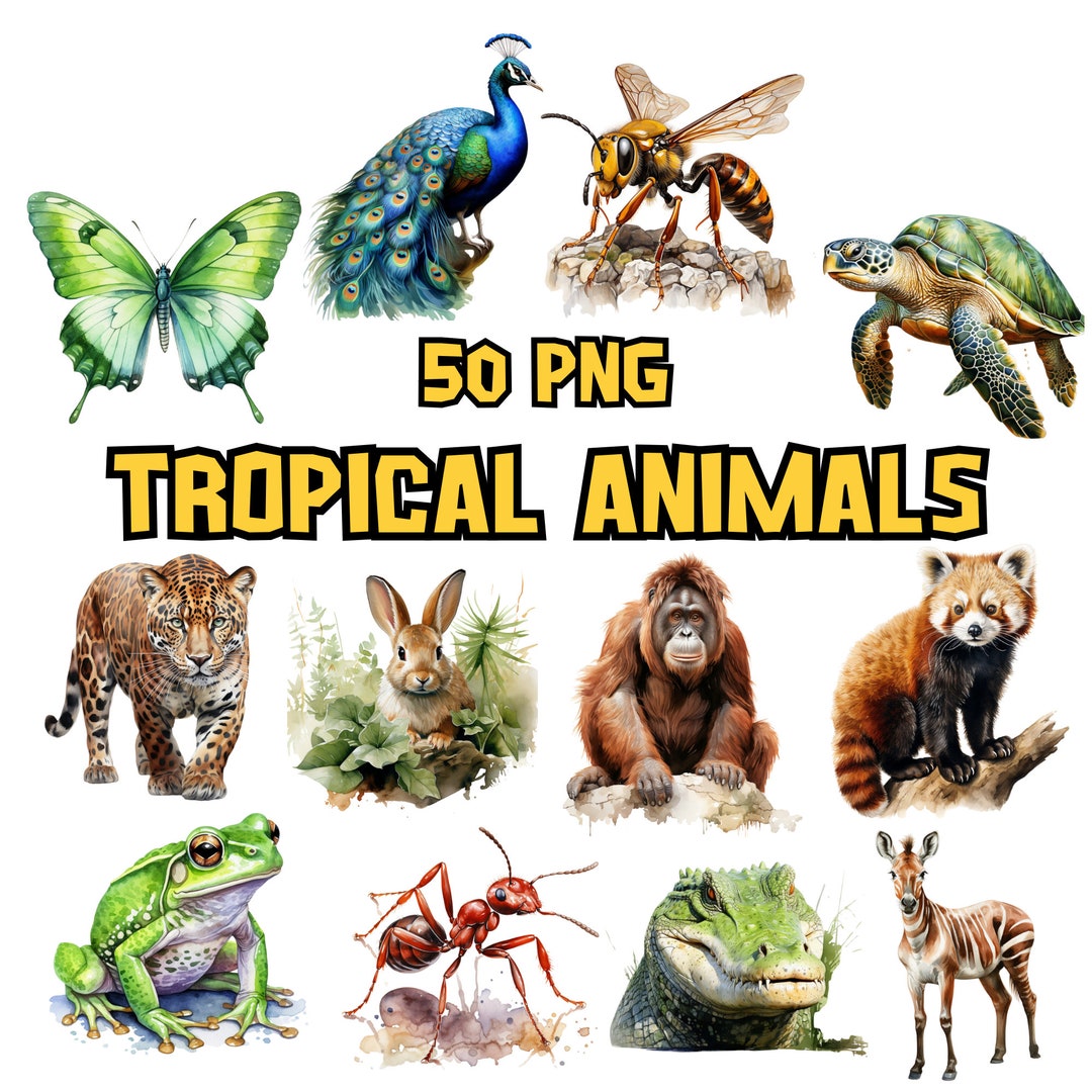 Watercolor Tropical Animals Clipart Bundle | Flamingo, Parrot ...