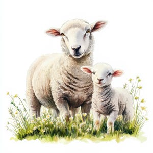 25 Mother and Baby Sheep Clipart Bundle, Printable Watercolor Farm ...