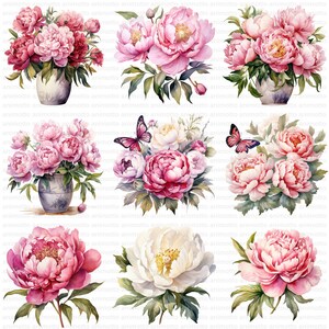 Watercolor Peonies Clipart | Spring Flower, Floral Bouquet, Pink, Red ...
