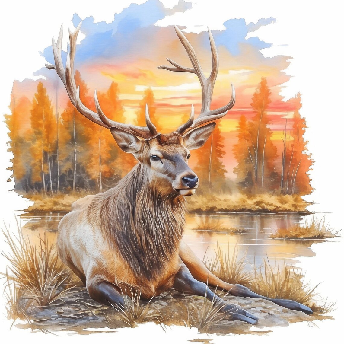 19 Sunset Red Deer Clipart Bundle, Stag at Sunset Illustrations ...