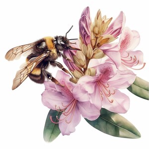 14 Bees and Flowers Clipart Bundle, Card Making Illustration, Printable ...