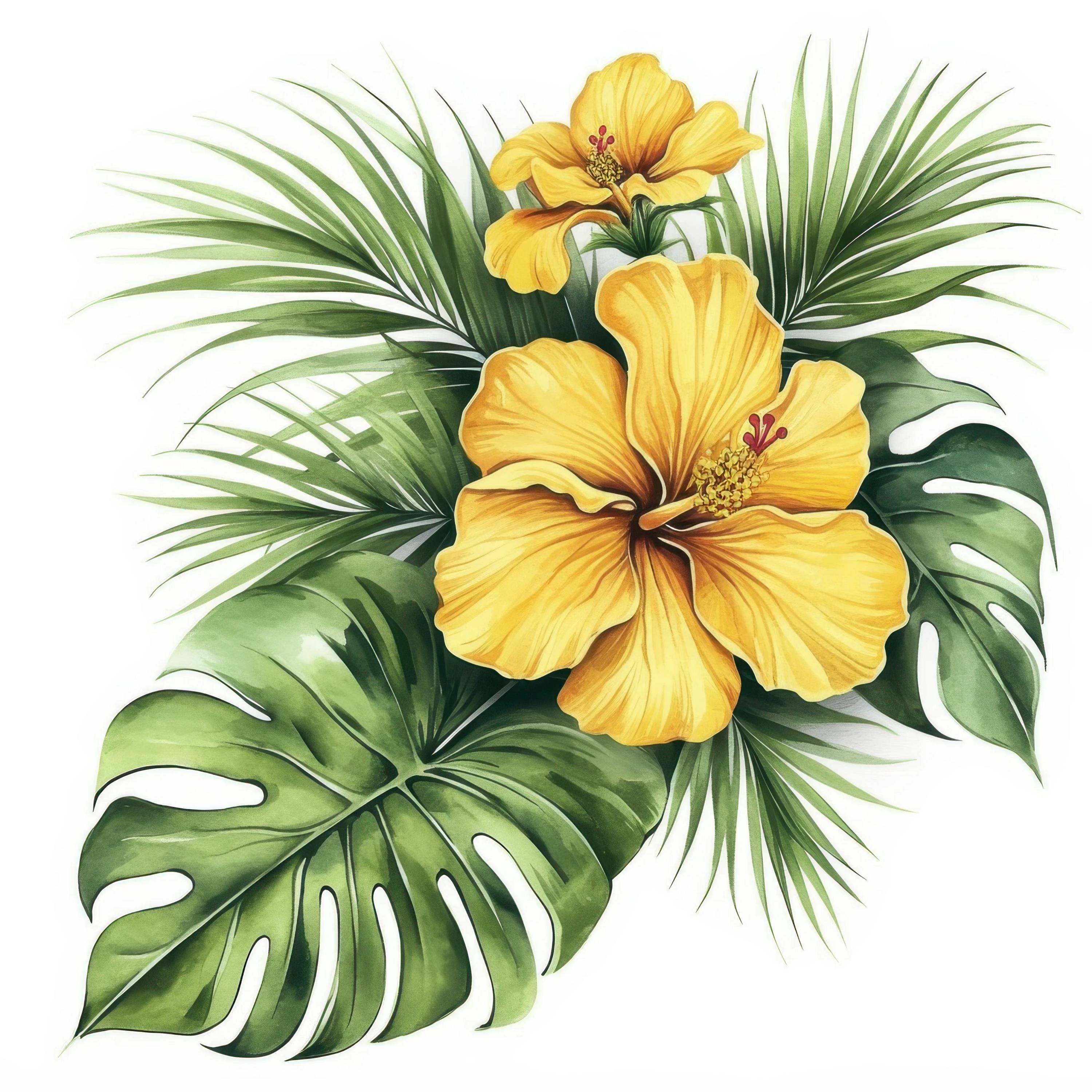 13 Tropical Leaves Clipart Bundle, Tropical Flowers Illustrations ...