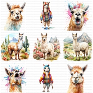 Watercolor Llamas Clipart Bundle, Cute Adorable Llama, Clipart Set ...