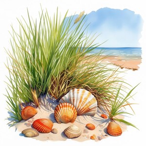 14 Summer Seashells Clipart Bundle, Seashell Prints Illustrations ...