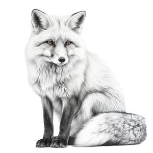 11 Black and White Fox Clipart Bundle, Grayscale Fox Illustration ...