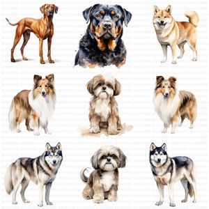 Watercolor Dog Breeds Clipart, Dog Clipart Set, Puppy PNG Graphics ...