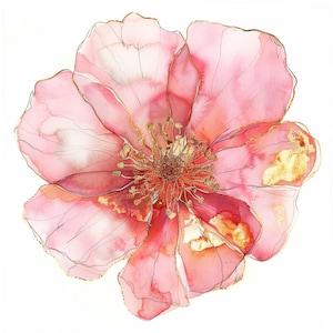 13 Abstract Flowers Clipart Bundle, Pink Gold Flower Illustrations ...