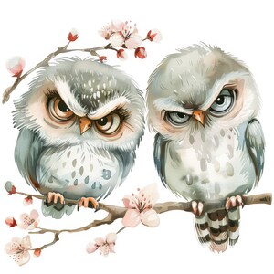 15 Cute Grumpy Owlets Clipart Bundle, Whimsical Funny Owl, Pets Clipart ...