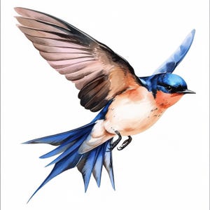 15 Swallow Bird Clipart Bundle, Bird Flying Images Illustrations ...