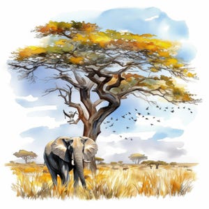 15 Elephant at Safari Clipart Bundle, Printable Watercolor Safari ...