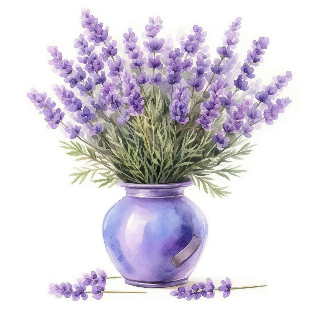 11 Lavender Clipart, Lavender in Vase Illustration, Printable ...