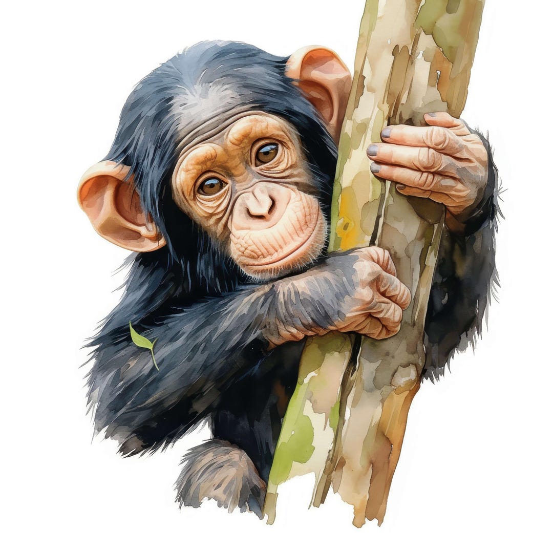 12 Cute Monkey Clipart Set, Printable Watercolor Little Chimp Clipart ...