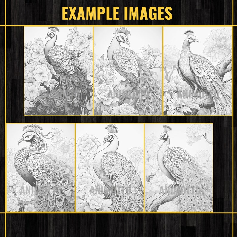 Beatiful Peacocks 35 Coloring Page Book, Adults Kids Instant Download ...