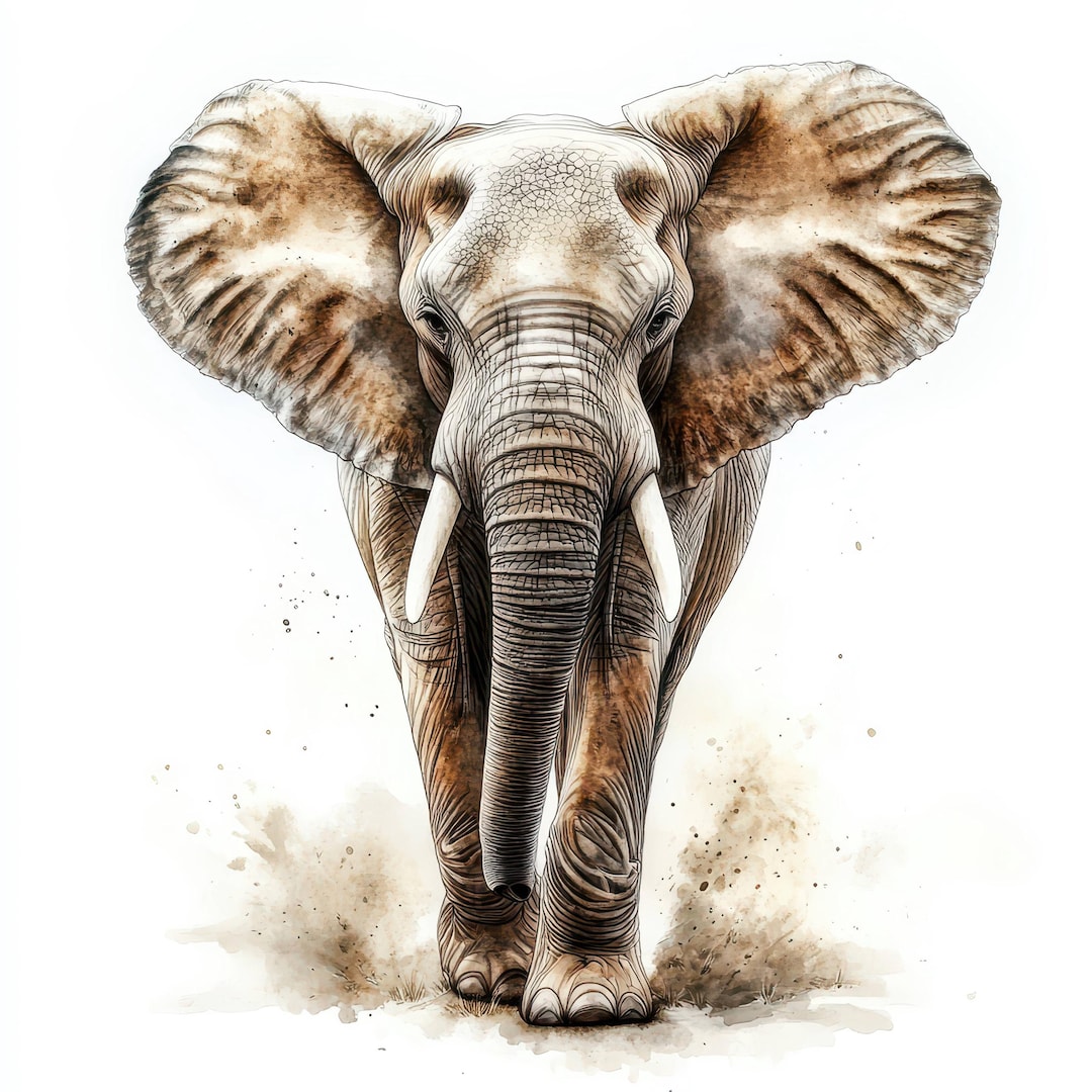 25 Elephant Watercolor Clipart Bundle, Printable Watercolor Clipart ...