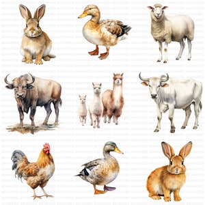 Watercolor Farm Animals Clipart | Horse, Donkey, Pig, Cow, Rabbit, Duck ...