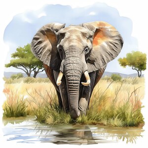 15 Elephant at Safari Clipart Bundle, Printable Watercolor Safari ...