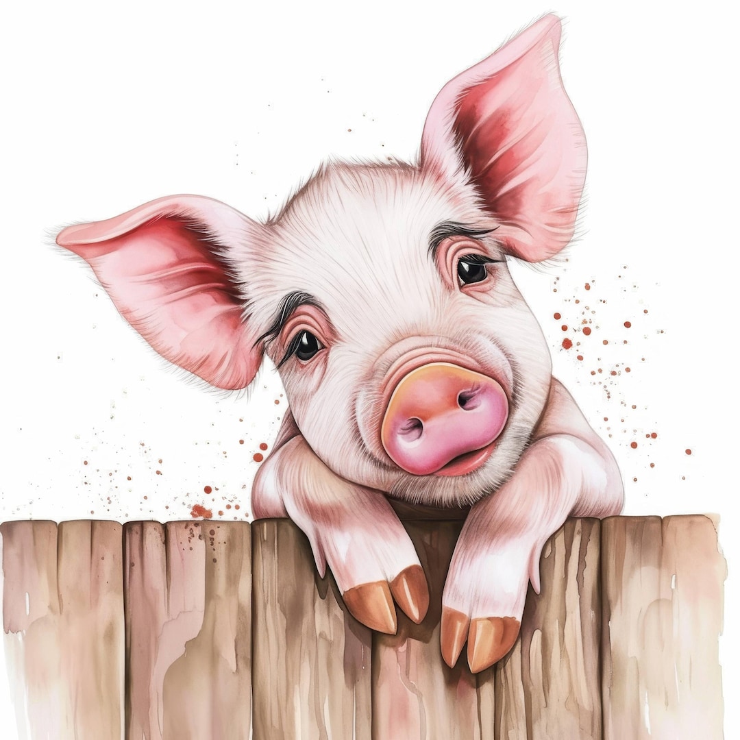 12 Farm Piglets Clipart Bundle, Peeking Piglets Illustrations ...