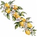 14 Lemon Border Clipart Bundle, Printable Watercolor Lemon Garland ...