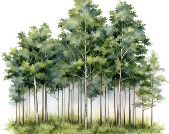 18 Spring Forest Clipart Bundle, Seasonal Woodland Nature Illustration ...