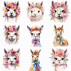 Watercolor Llamas Clipart Bundle, Cute Adorable Llama, Clipart Set ...