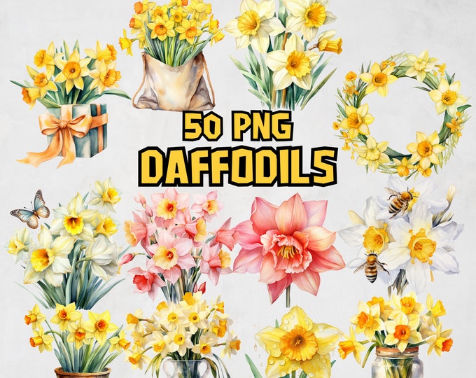 Daffodil Flower PNG Clip Art, Hand Drawn Daffodils, Detailed Spring ...