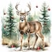 15 Christmas Deer Clipart Bundle, Reindeer, Printable Watercolor ...