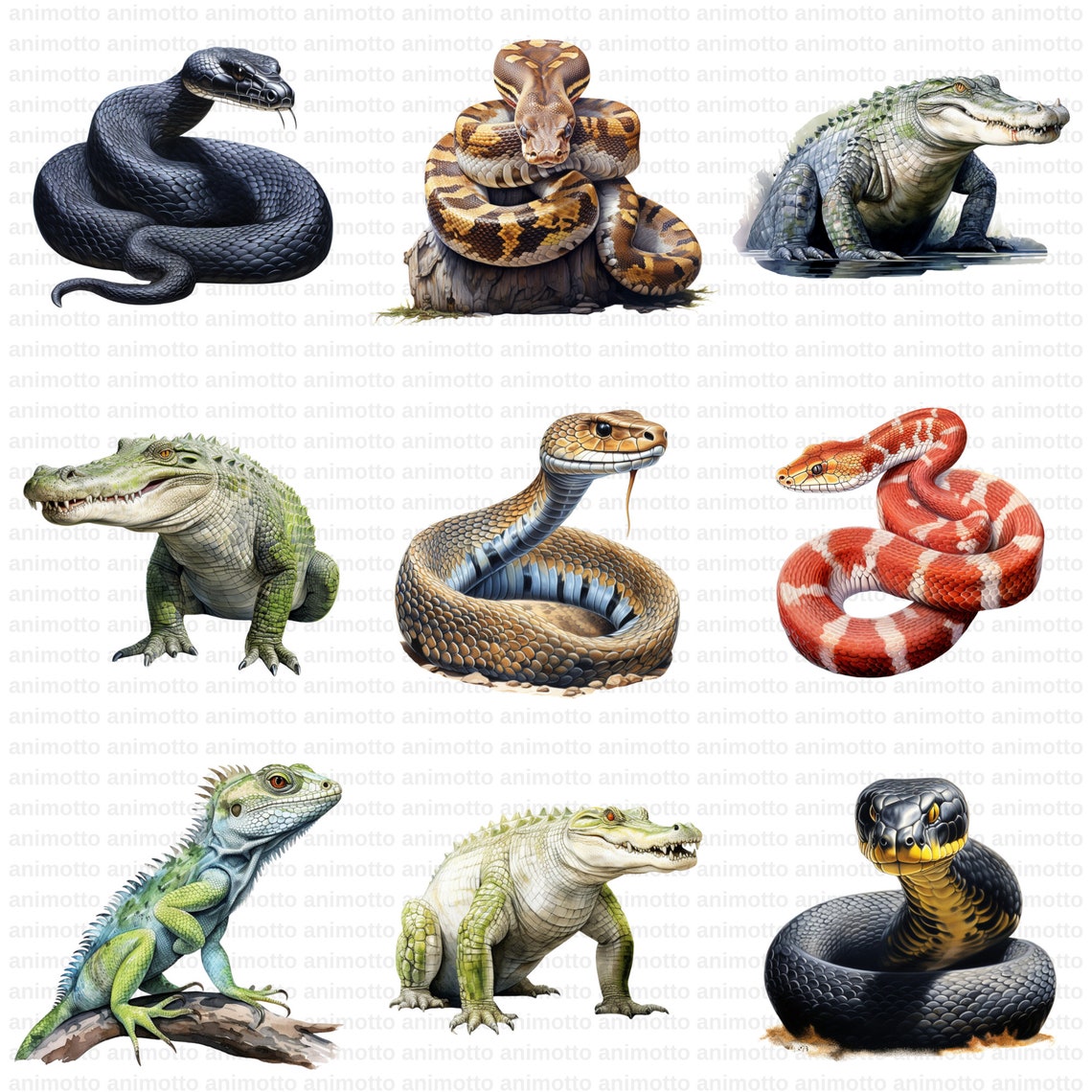 Watercolor Reptiles Clipart | Chameleon, Lizard, Snake, Turtle ...