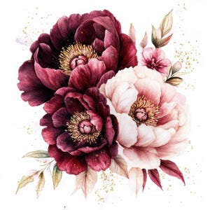 12 Maroon Peonies Clipart Bundle, Maroon Peony Flowers, Watercolor ...