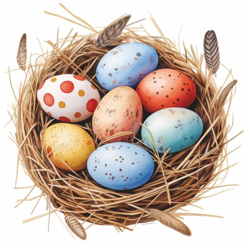 12 Easter Egg Nest Clipart Bundle, Bird Nest Images Illustrations ...