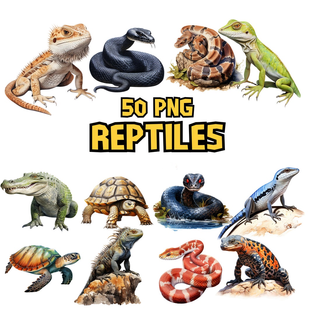 Watercolor Reptiles Clipart Chameleon, Lizard, Snake, Turtle, Tortoise ...