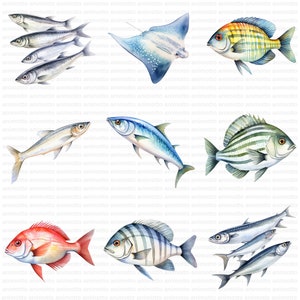 Watercolor Fishes Clipart Bundle Underwater Animals Clipart Set, Sea ...