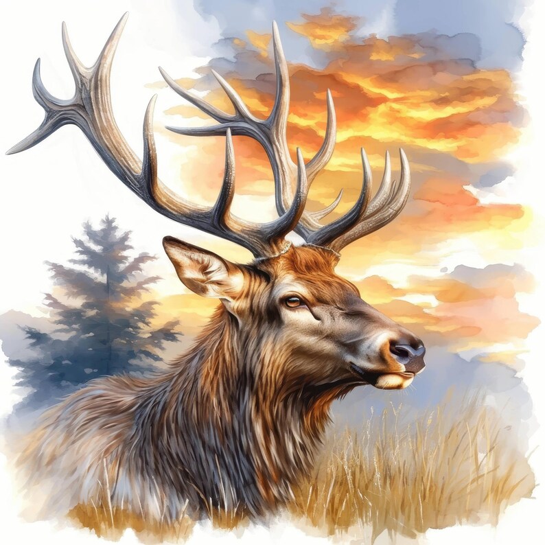 19 Sunset Red Deer Clipart Bundle, Stag at Sunset Illustrations ...