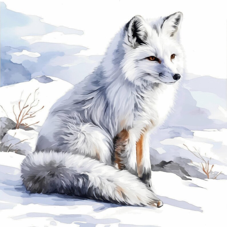 9 Arctic Fox Clipart Bundle, Winter Animal Illustrations, Printable ...