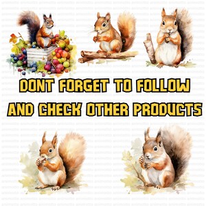 Watercolor Squirrels Clipart Bundle, Happy Squirrel PNG Graphics ...